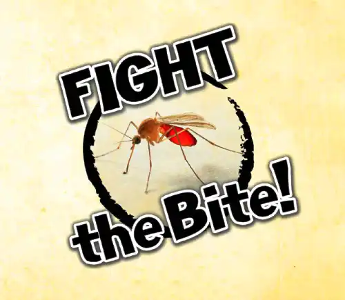 San Diego County Department of Environmental Health and Quality: Fight ...